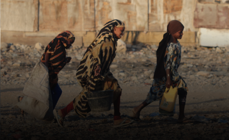 GFFO Final Evaluation Project - Cirsi Institute